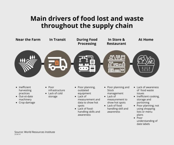 How Food Waste Impacts Hotel and Restaurant Businesses?